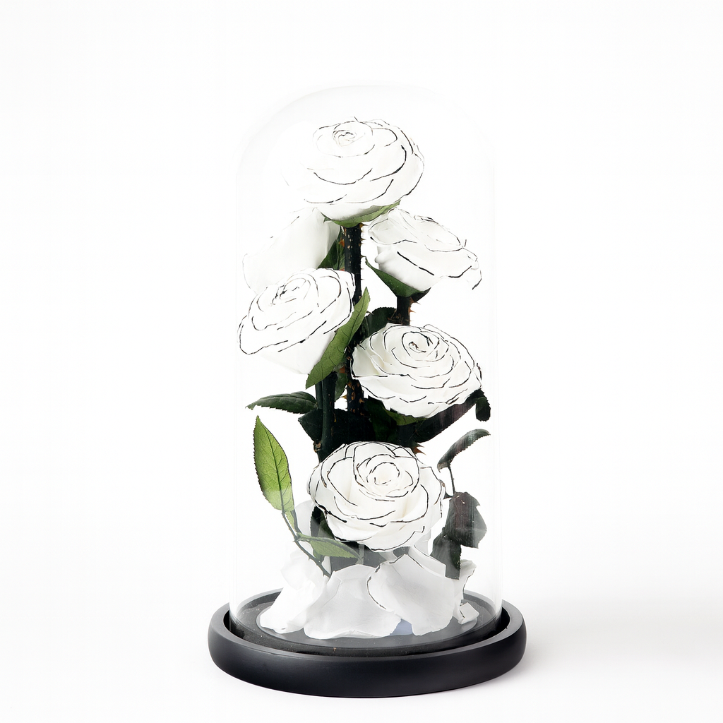 Preserved Flowers|Everlasting Gift|For Love|Romantic Timeless Beauty ...